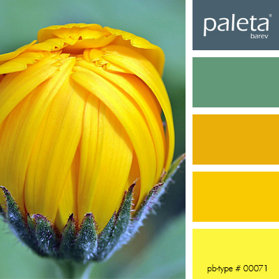 PALETA 51-100 :: Paletabarev